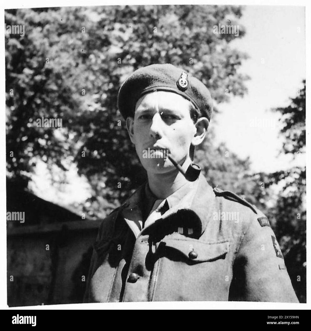 Zoo performance Cut Out Stock Images & Pictures - Alamy