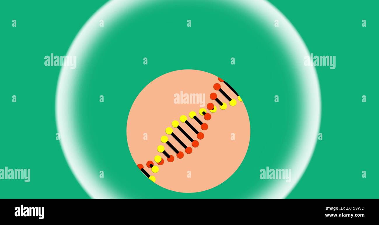 Image of dna rotating over green background Stock Photo - Alamy