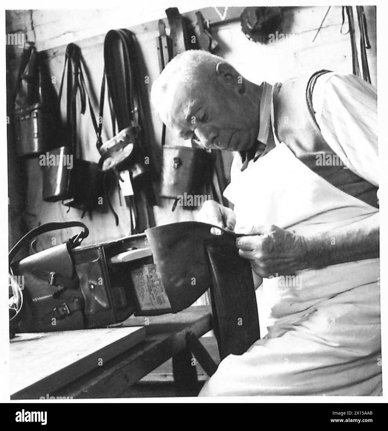 Reme Cut Out Stock Images & Pictures - Alamy