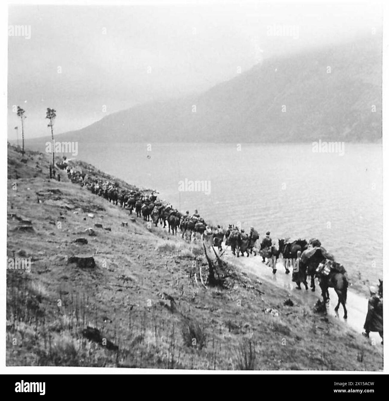 AN EXERCISE IN SCOTLAND - Infantry and Pack Mule Coy advancing through ...