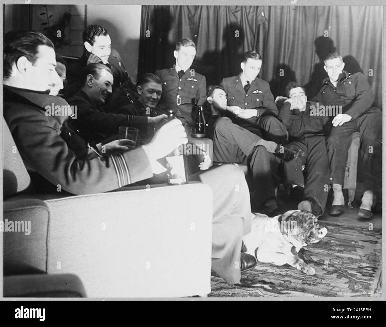 'Susie' is the bulldog mascot of an RAF fighter squadron, assigned to ...