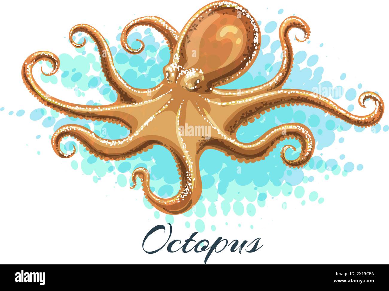 Watercolor octopus illustration Stock Vector Image & Art - Alamy