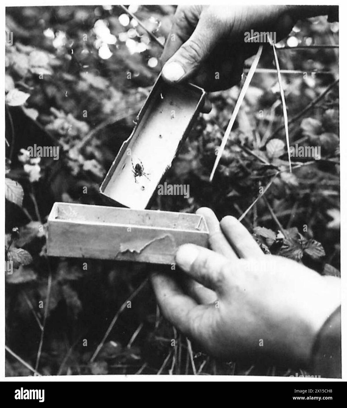 Prevent harm Black and White Stock Photos & Images - Alamy