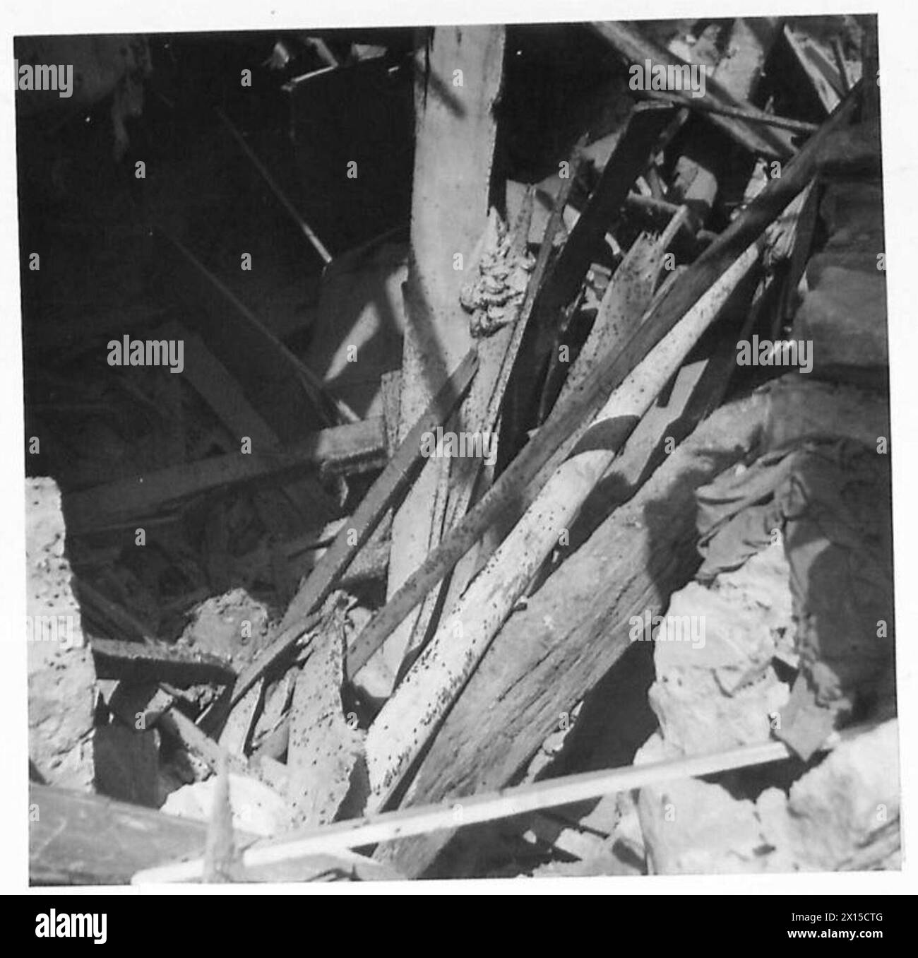 Blowing flies Black and White Stock Photos & Images - Alamy