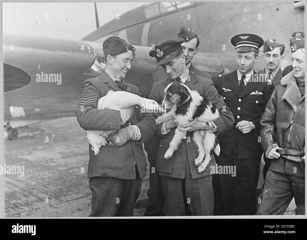 The Gold Coast Squadron introduces its mascots, a dog named Wilfred and ...