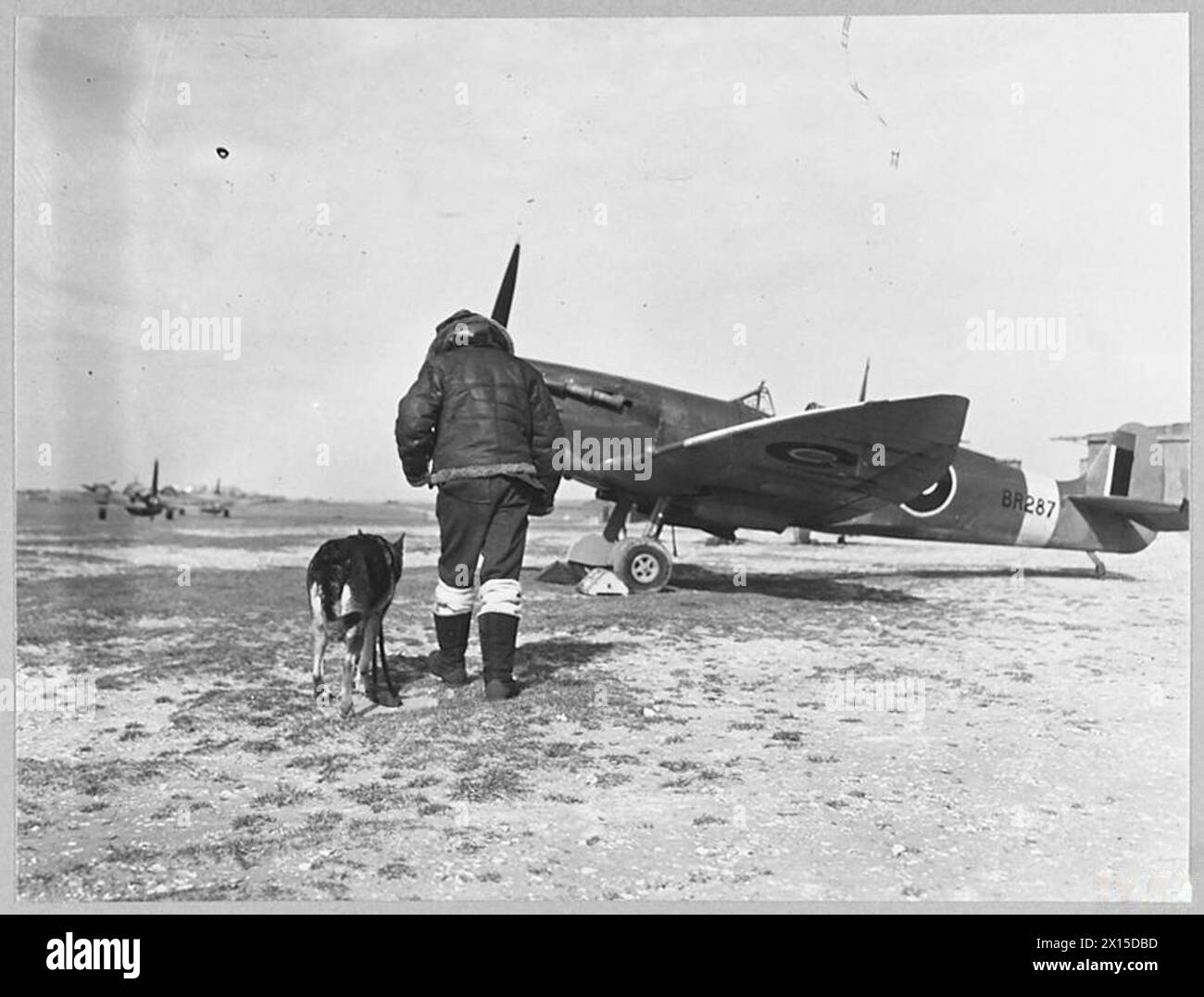 AN R.A.F. DOG WANTS HIS WINGS - 9036. "Wait here, I shan't be long ...