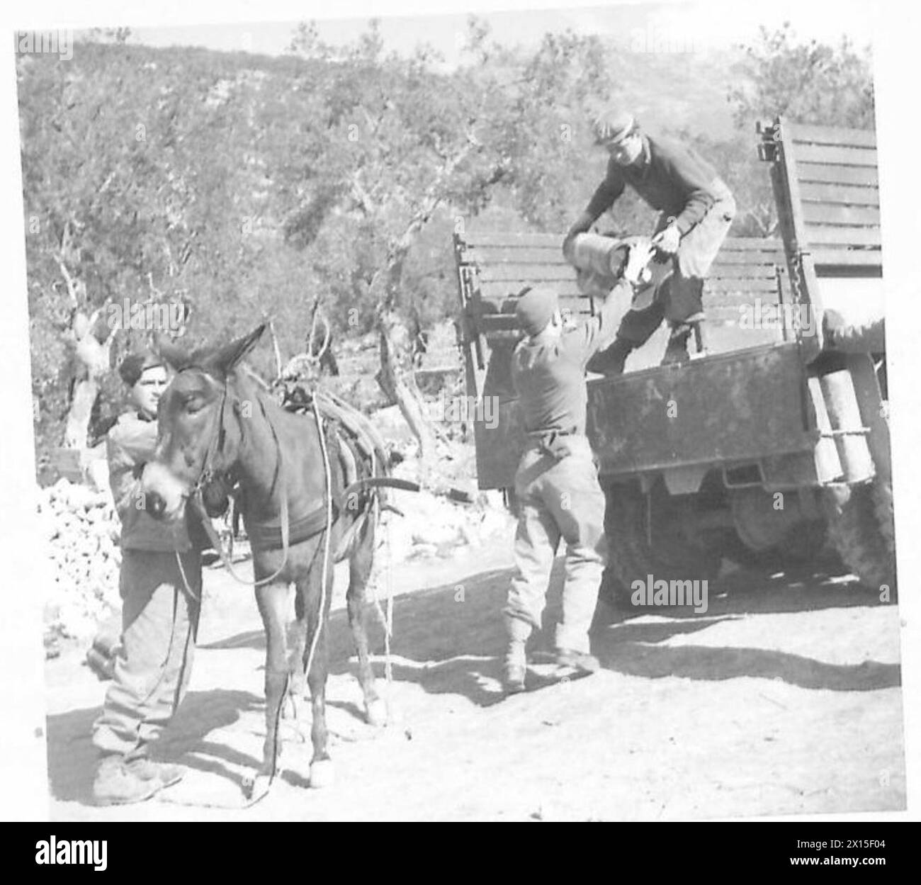 U s army infantry personnel Cut Out Stock Images & Pictures - Alamy