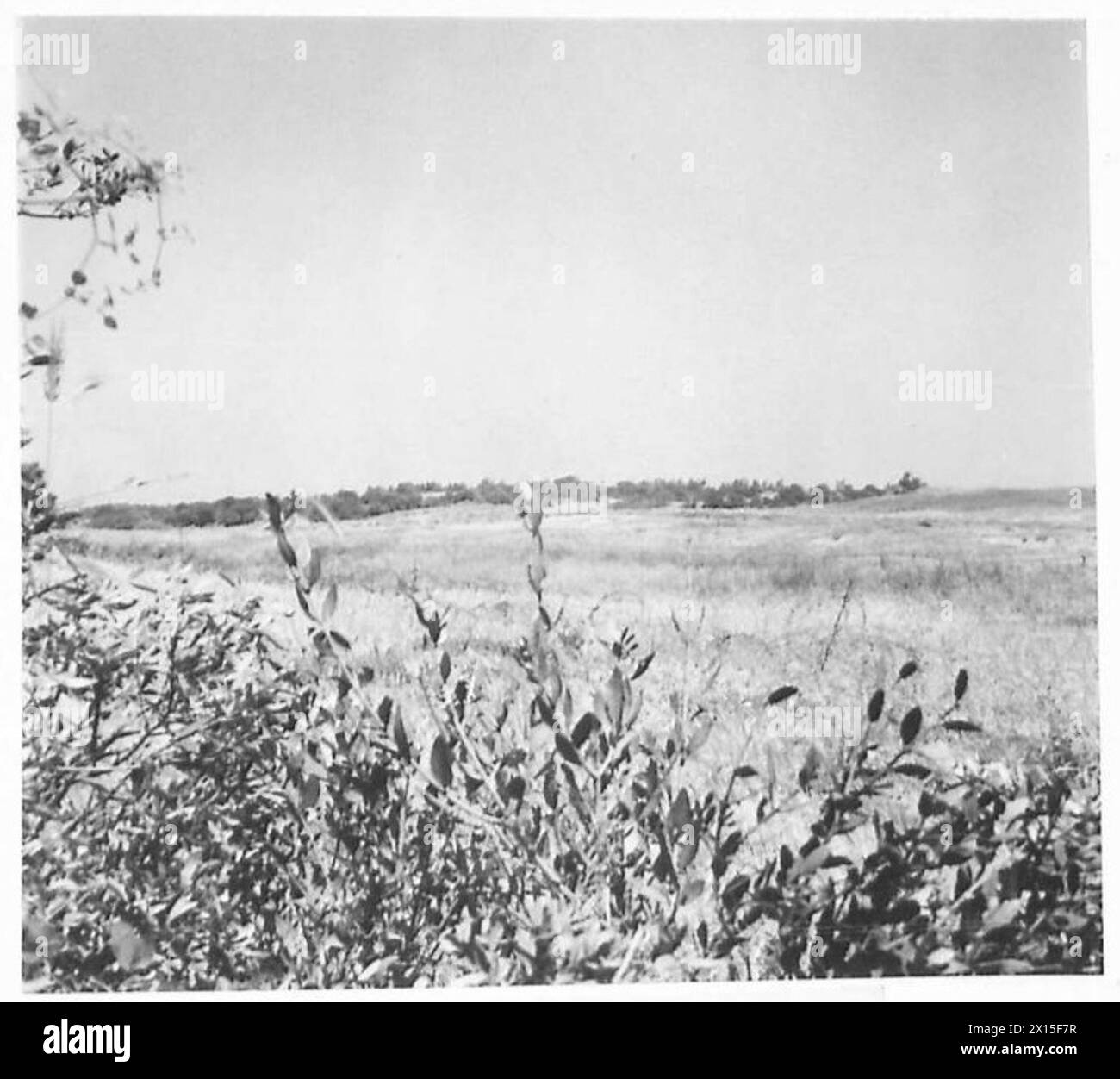 FIFTH ARMY - ANZIO BRIDGEHEAD (VARIOUS) - German forward positions are ...