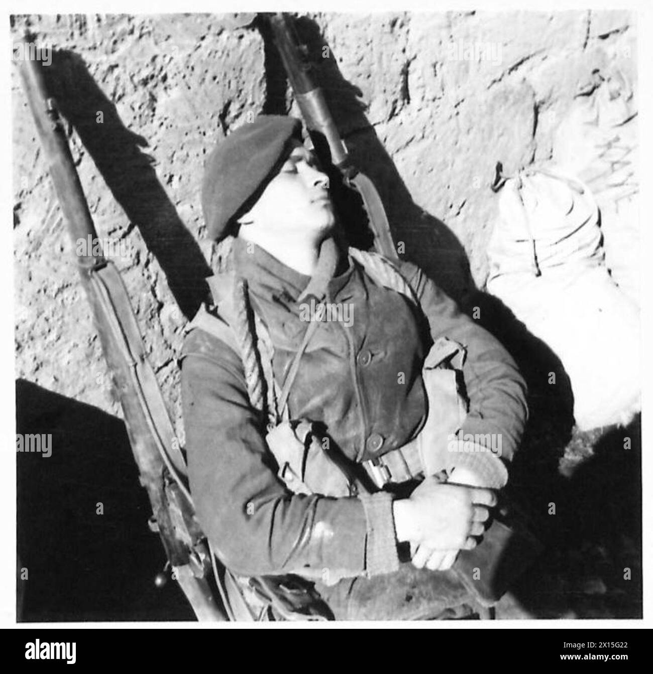 Log phase Cut Out Stock Images & Pictures - Alamy