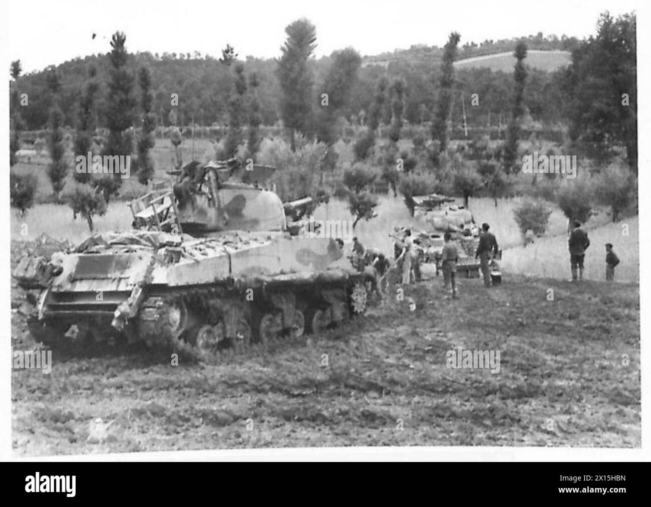 A Sherman tank of the 6th South African Armoured Division gets bogged ...
