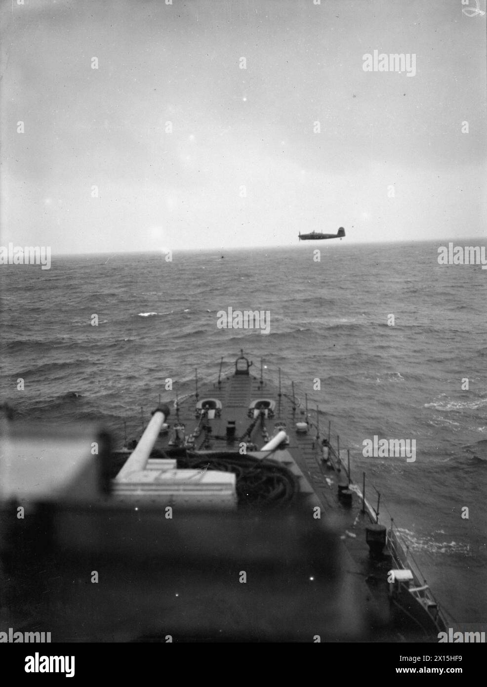 THE FAIREY BARRACUDATHE NAVY'S NEW TORPEDO BOMBER. FEBRUARY 1944. ON ...