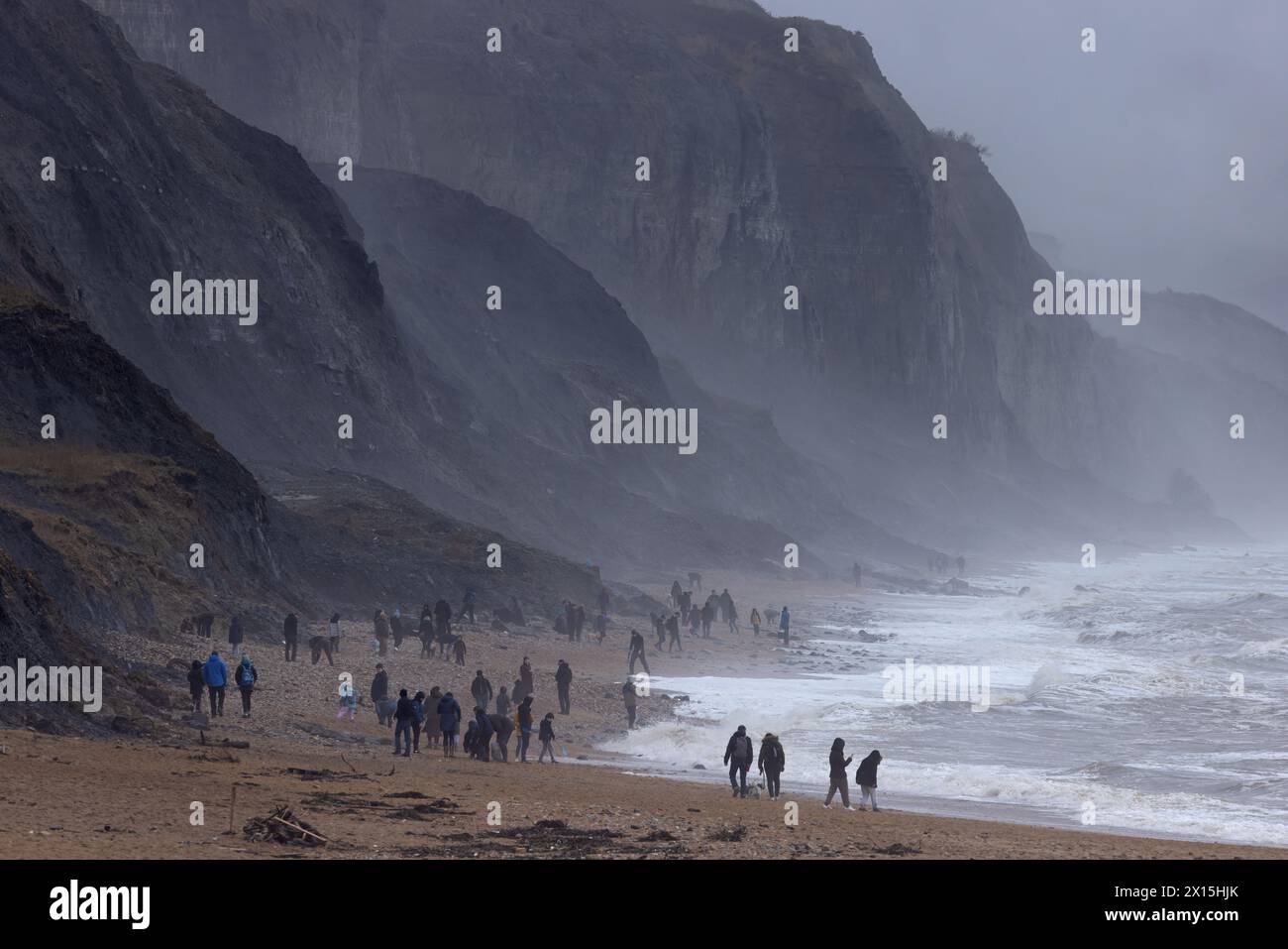The Jurassic coast fossil hunters searchers on beach at Charmouth ...