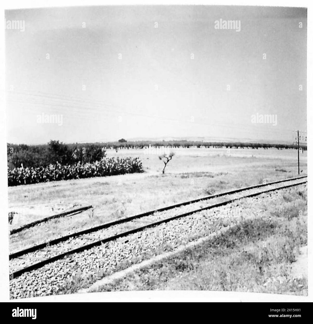 TUNISIAN BATTLEFIELDS - The olive grove from which the 2nd Hampshire ...