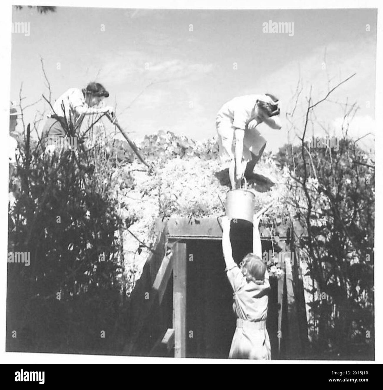 Vegetable plots in garden Black and White Stock Photos & Images - Alamy