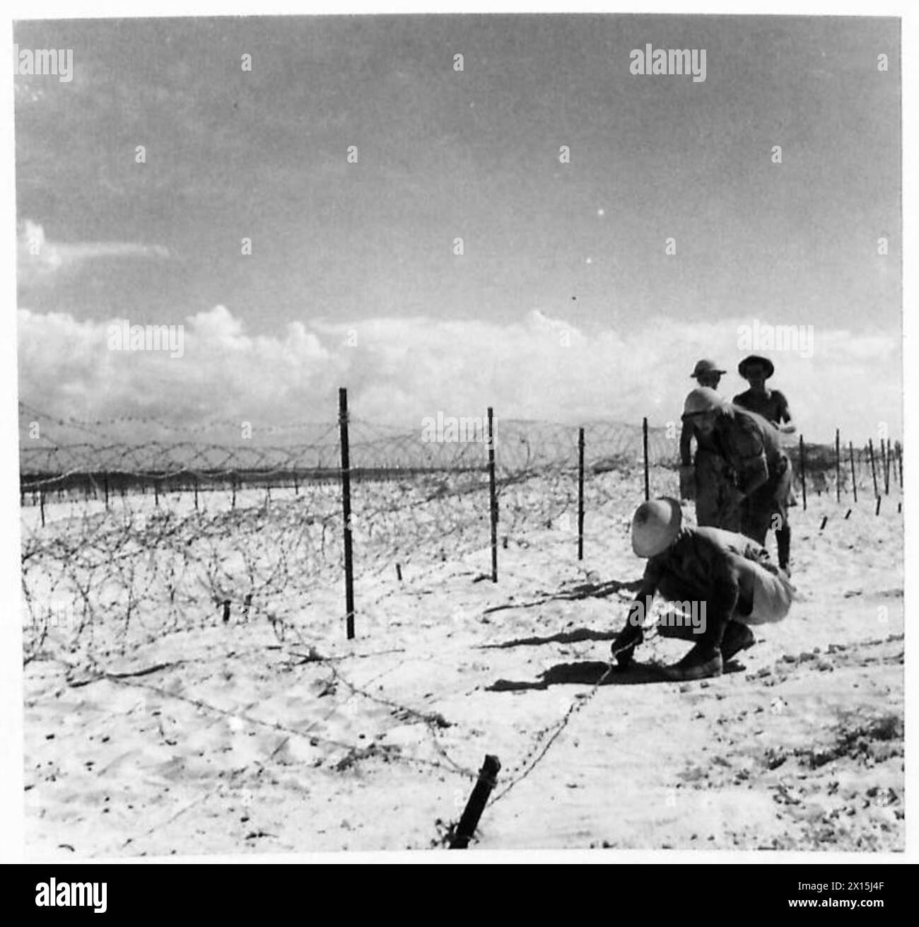 OFFICIAL PHOTOGRAPHS TAKEN IN THE WESTERN DESERT - A working party ...