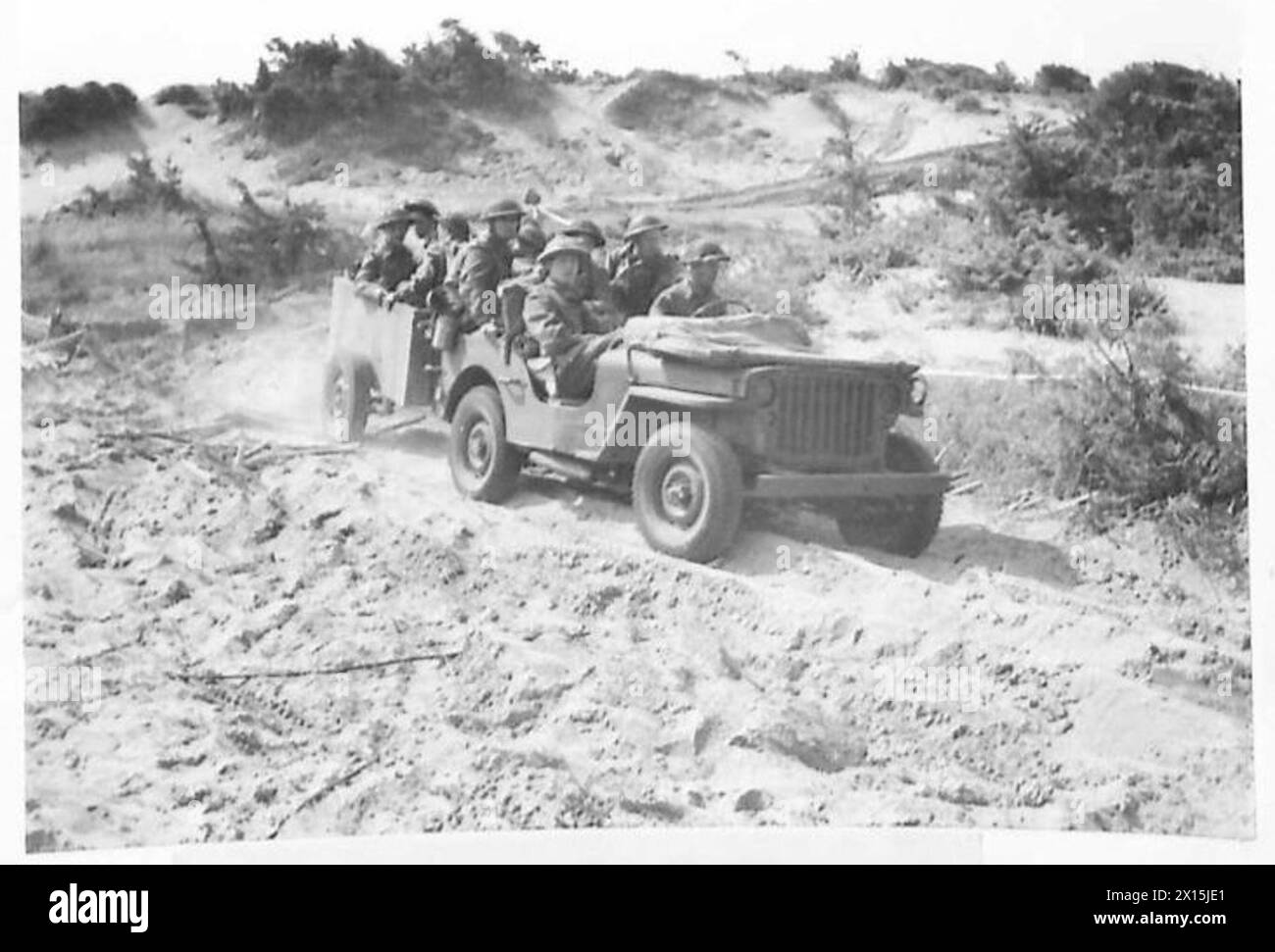 FIFTH ARMY : ALLIED ATTACK IN THE ANZIO BRIDGEHEAD - Reinforcements ...