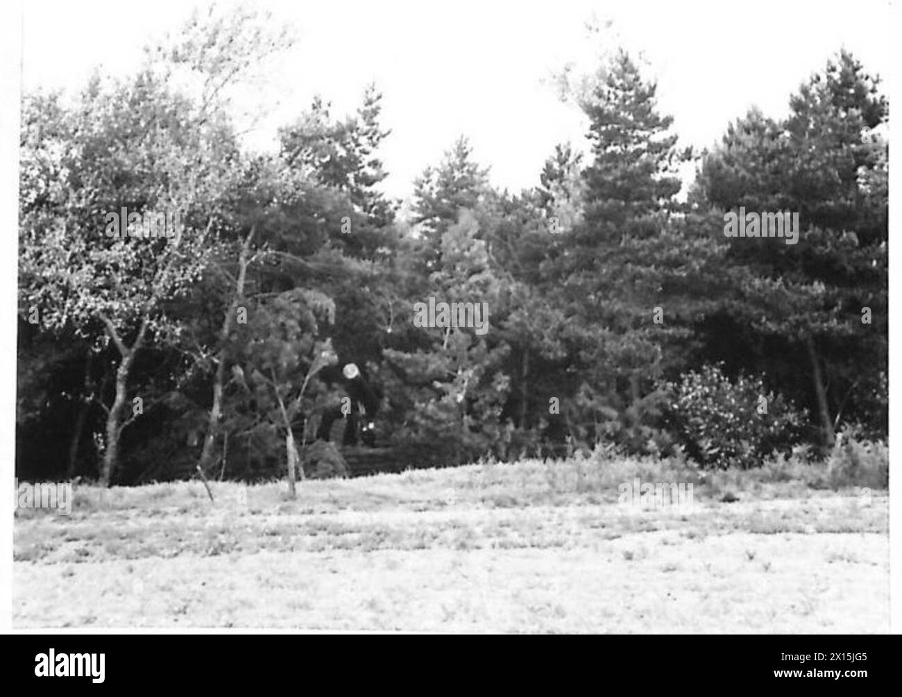 Gun positions at Easton Wood are camouflaged for military concealment ...