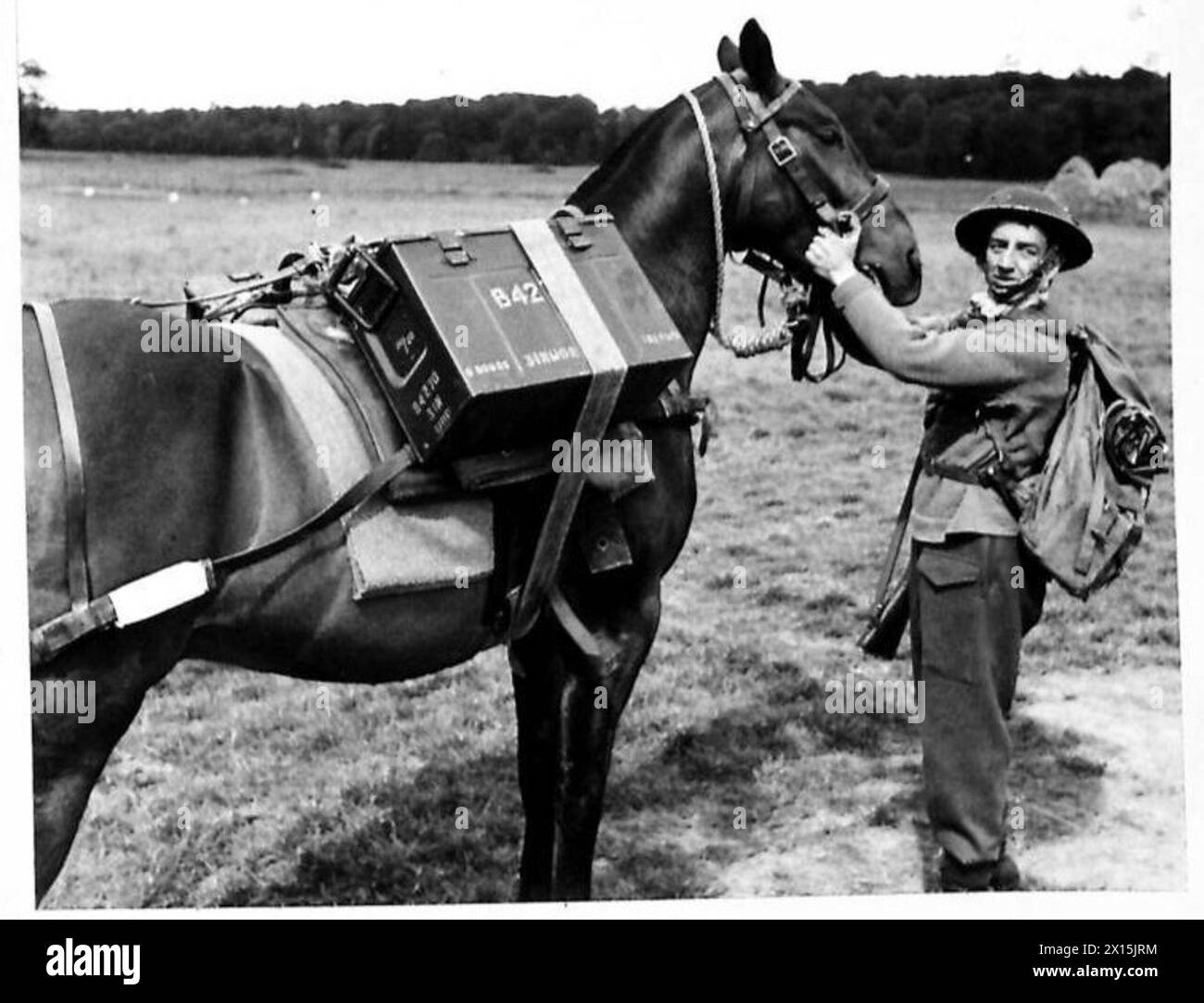 MOUNTAIN WARFARE EQUIPMENT - Horse with 6 3-inch Mortar bombs in box on ...