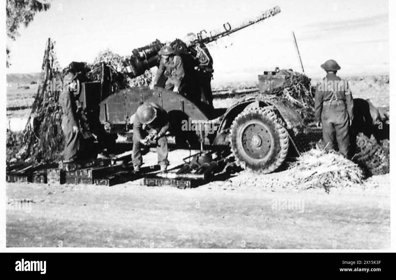 3 inch field gun hi-res stock photography and images - Alamy