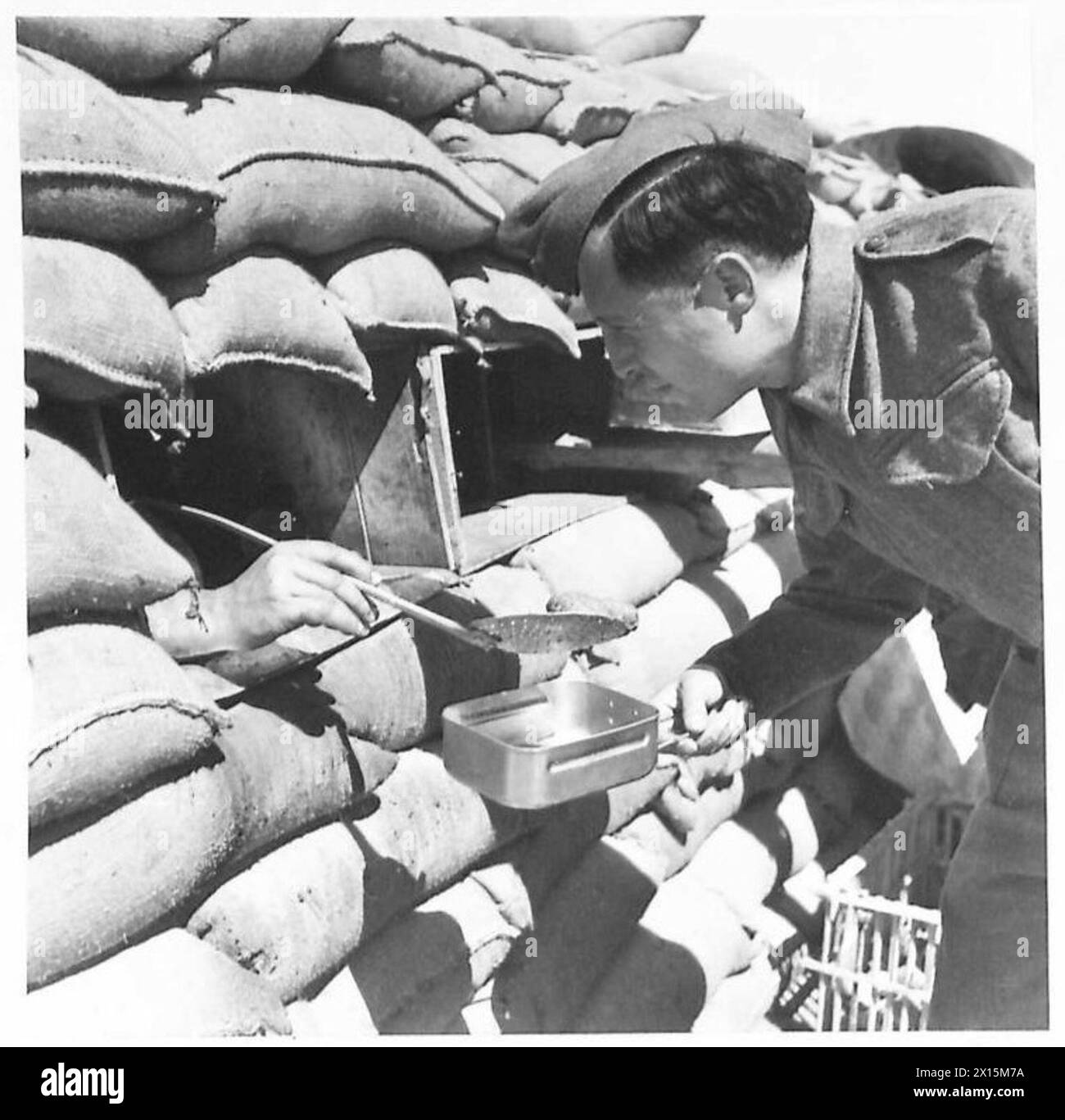 British palestine cook hi-res stock photography and images - Alamy