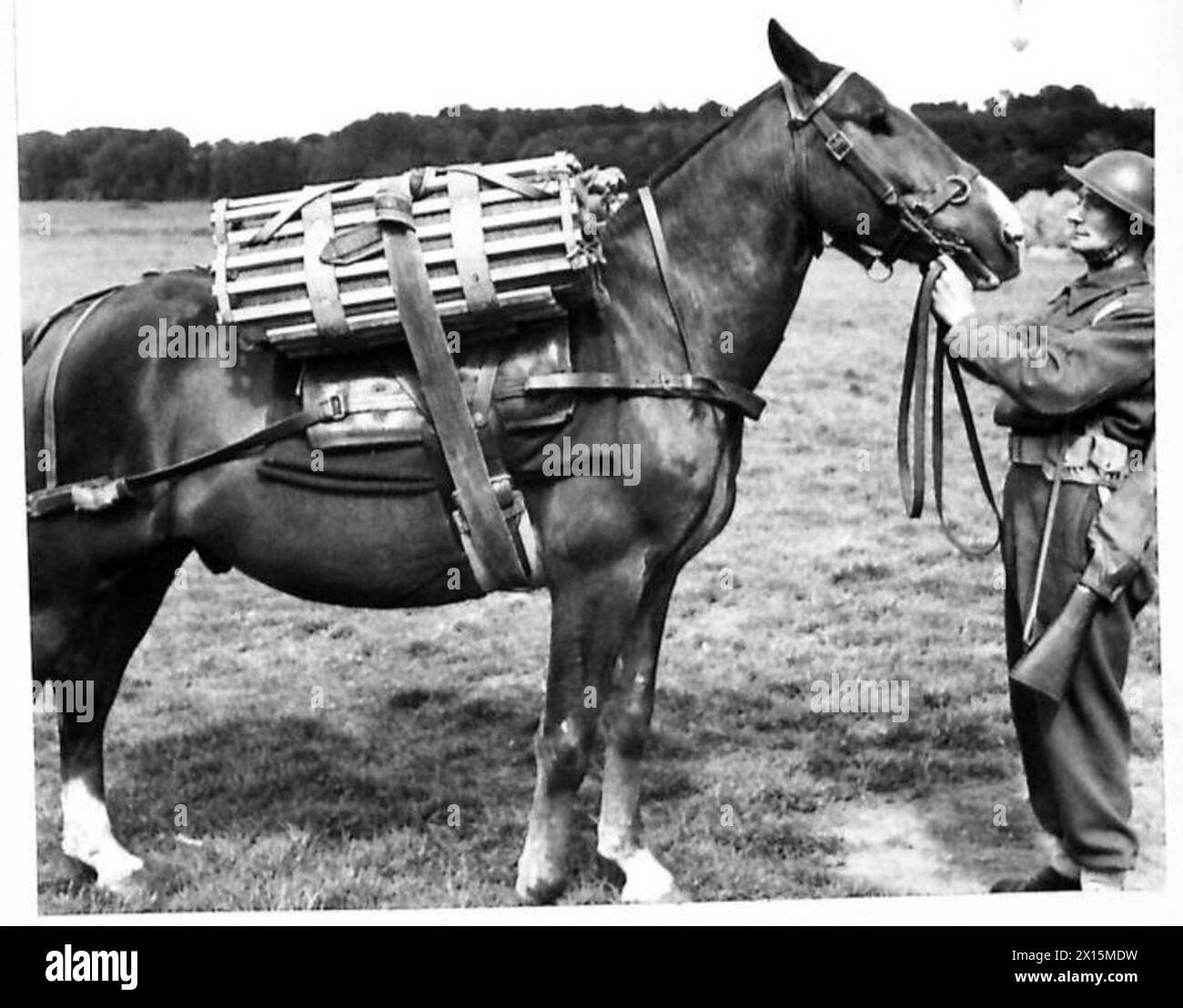 MOUNTAIN WARFARE EQUIPMENT - Horse with 72 lbs. of explosive in ...