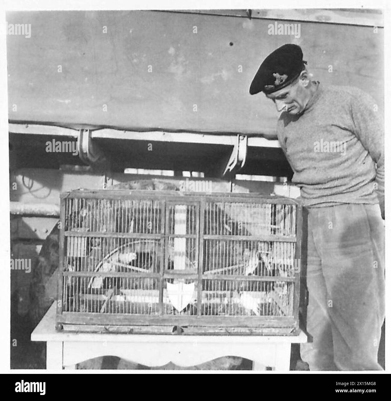 MISCELLANEOUS : SANGRO RIVER AREA - "Monty's Birds". General Montgomery ...