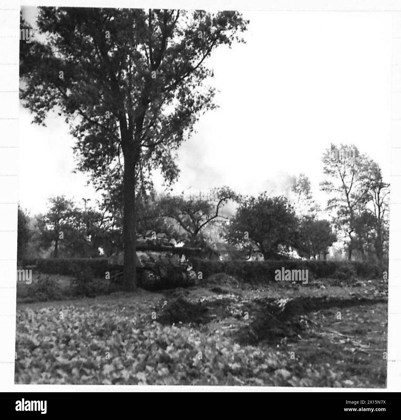 SAME STORY. - Sherman tanks of the 34 Bde giving fire support. In the ...