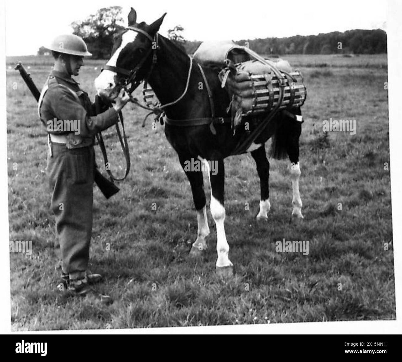 Royal Army Service Corps transport forage loads, including oats, as ...