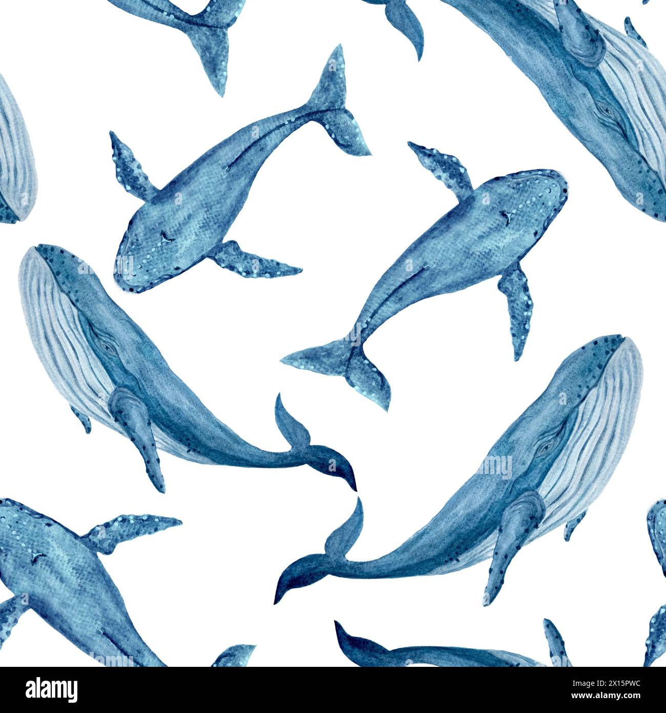 Blue whale humpback seamless pattern hand-drawn in watercolor isolated ...