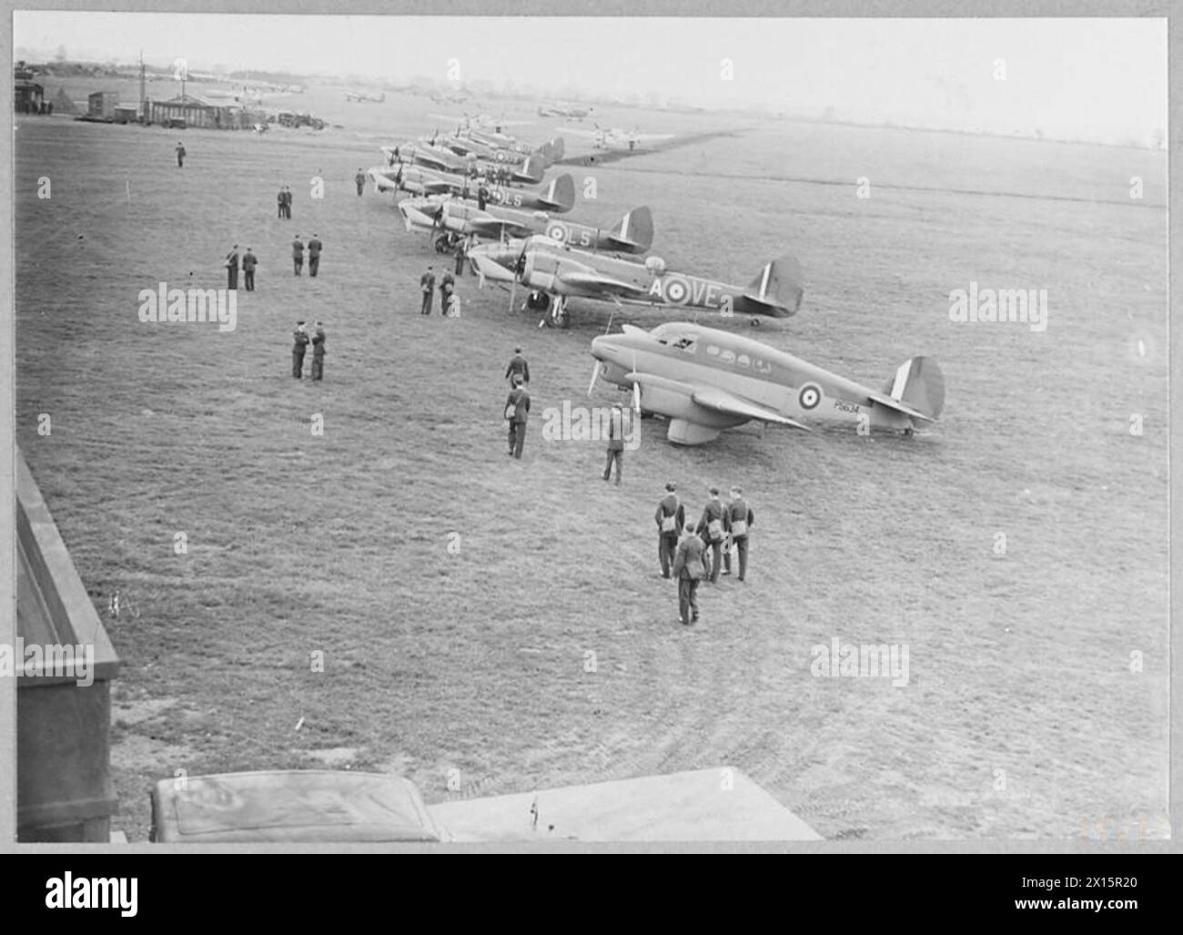 Percival petrel hi-res stock photography and images - Alamy