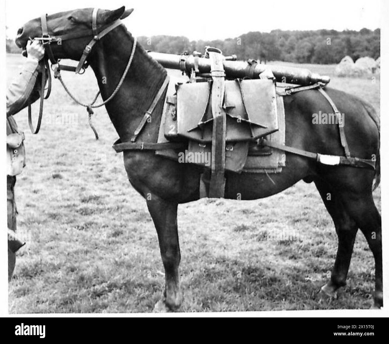 MOUNTAIN WARFARE EQUIPMENT - Same horse as H.30852 showing 3" Mortar ...