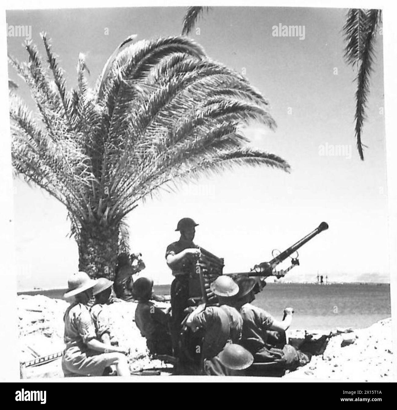BIZERTA - After six months of mountain warfare, Bofors guns crew find ...
