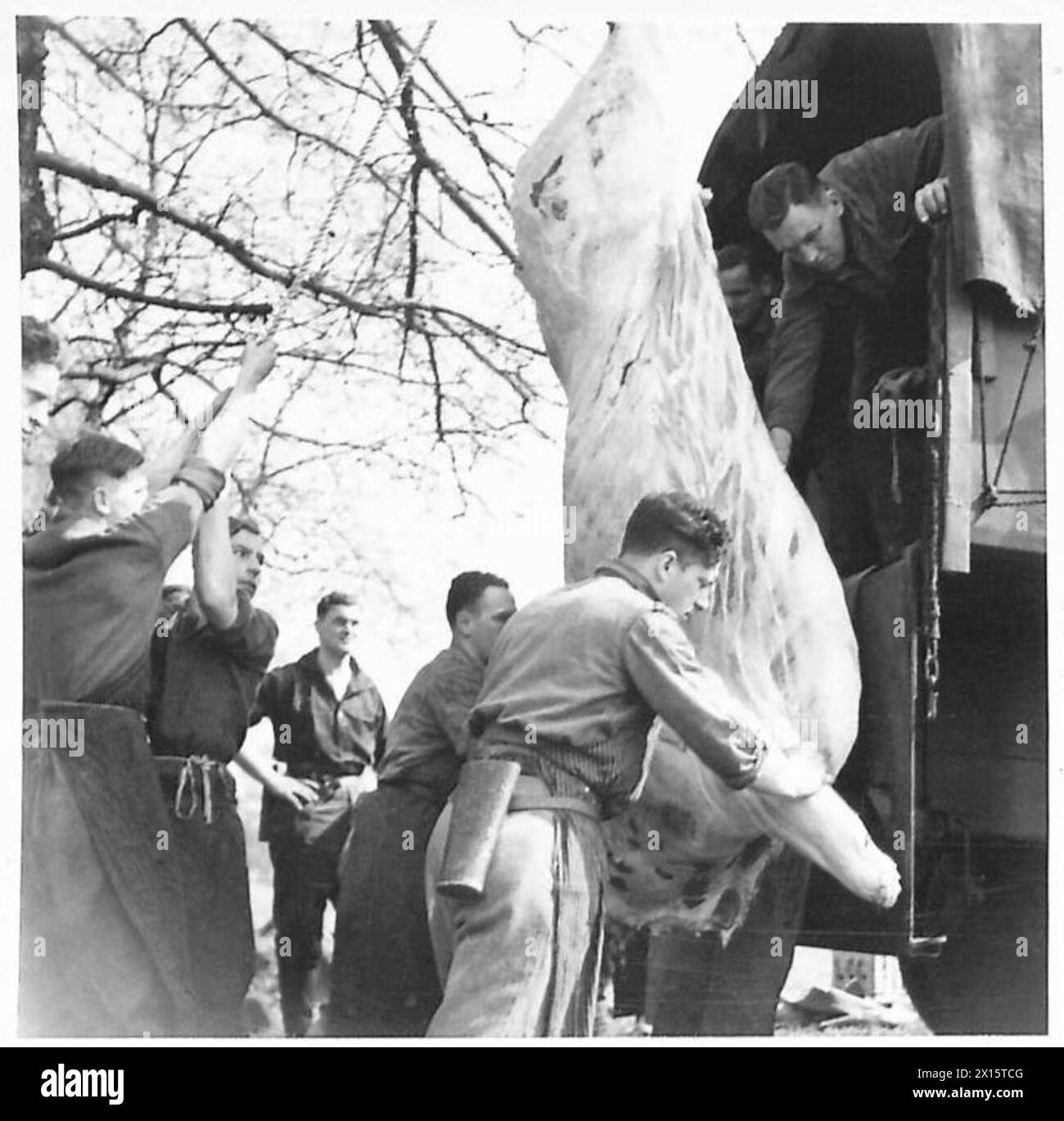 FIELD BUTCHERY IN THE ARMY - The carcase being loaded onto a lorry ...