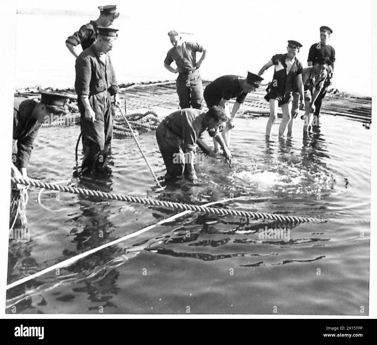 Attaching to wires Cut Out Stock Images & Pictures - Alamy Attaching to wires Cut Out Stock Images & Pictures - Alamy