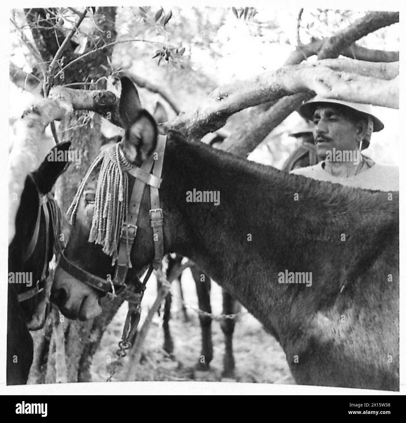 Enemy observation Black and White Stock Photos & Images - Alamy