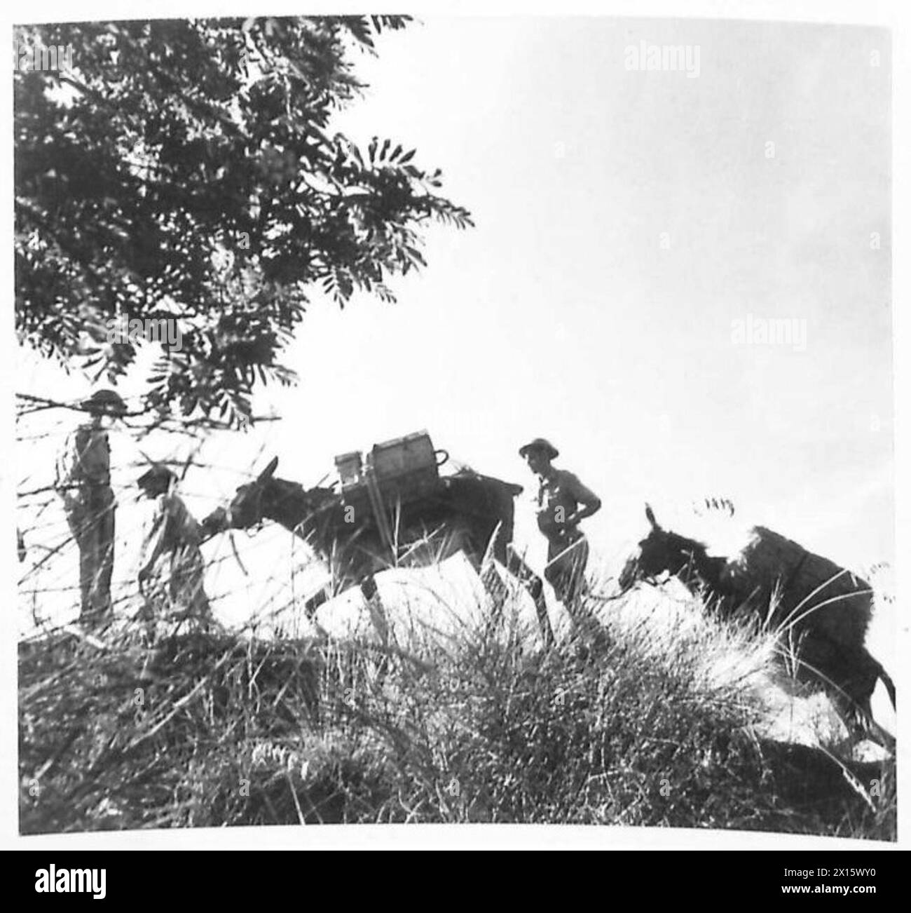 INVASION OF ITALY : EIGHTH ARMY - To defeat the demolition menace, the ...