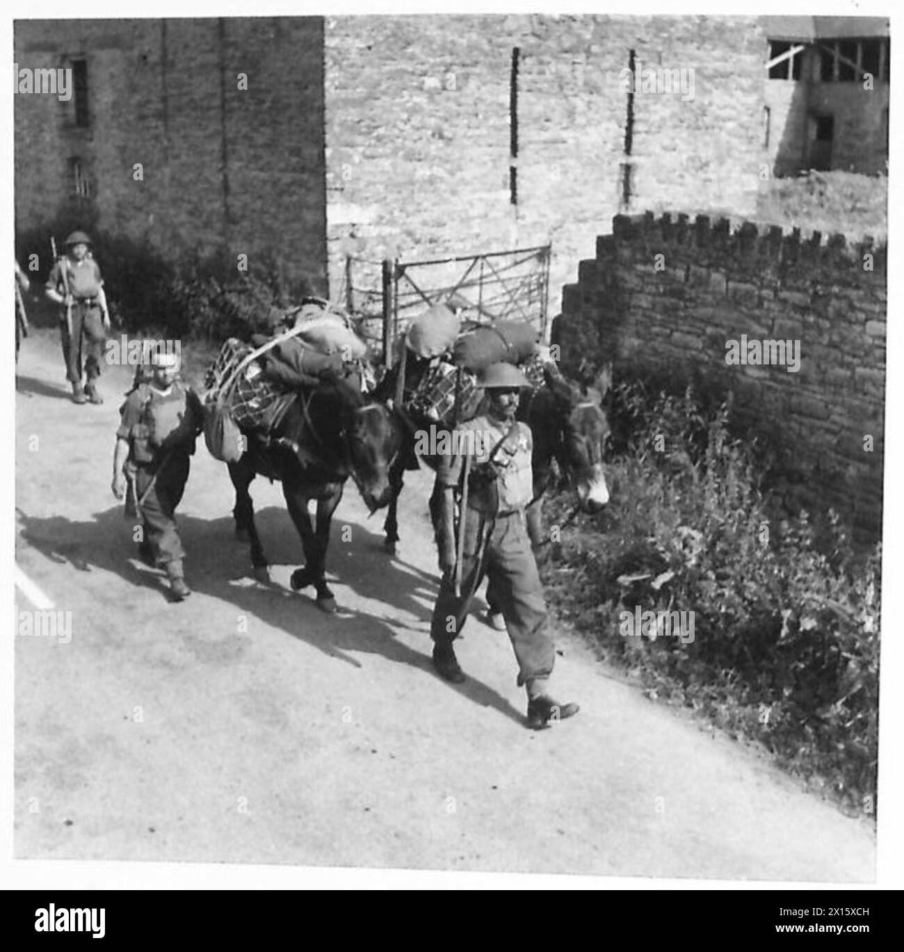 Pack animals carry supplies along a country road where lorries cannot ...