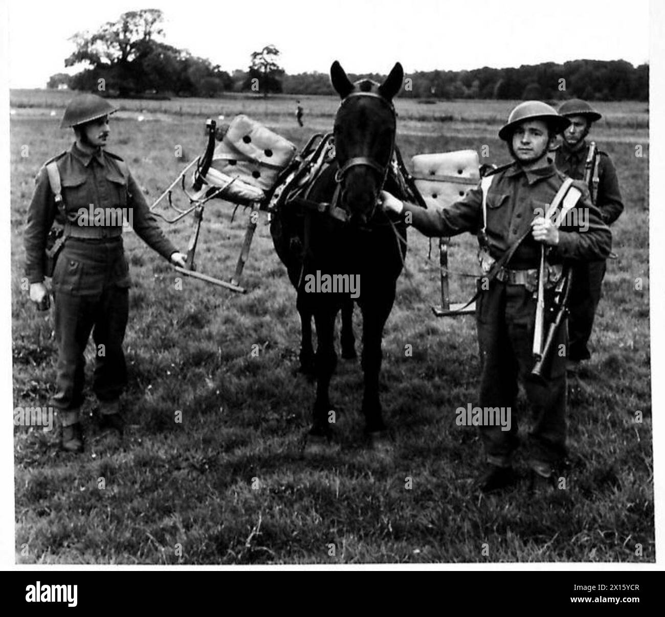 MOUNTAIN WARFARE EQUIPMENT - Pair of Cacolet - empty , British Army ...