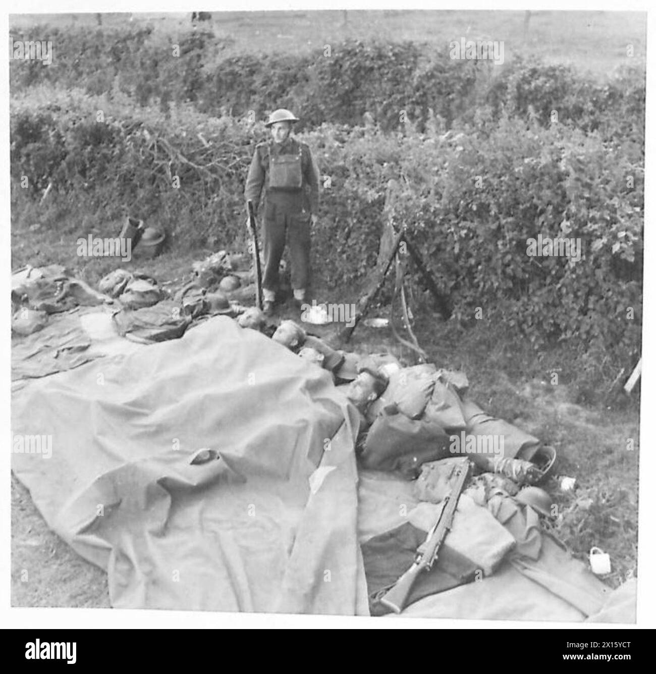 PACK ANIMALS GO WHERE LORRIES CANNOT - Troops sleeping in the open air ...