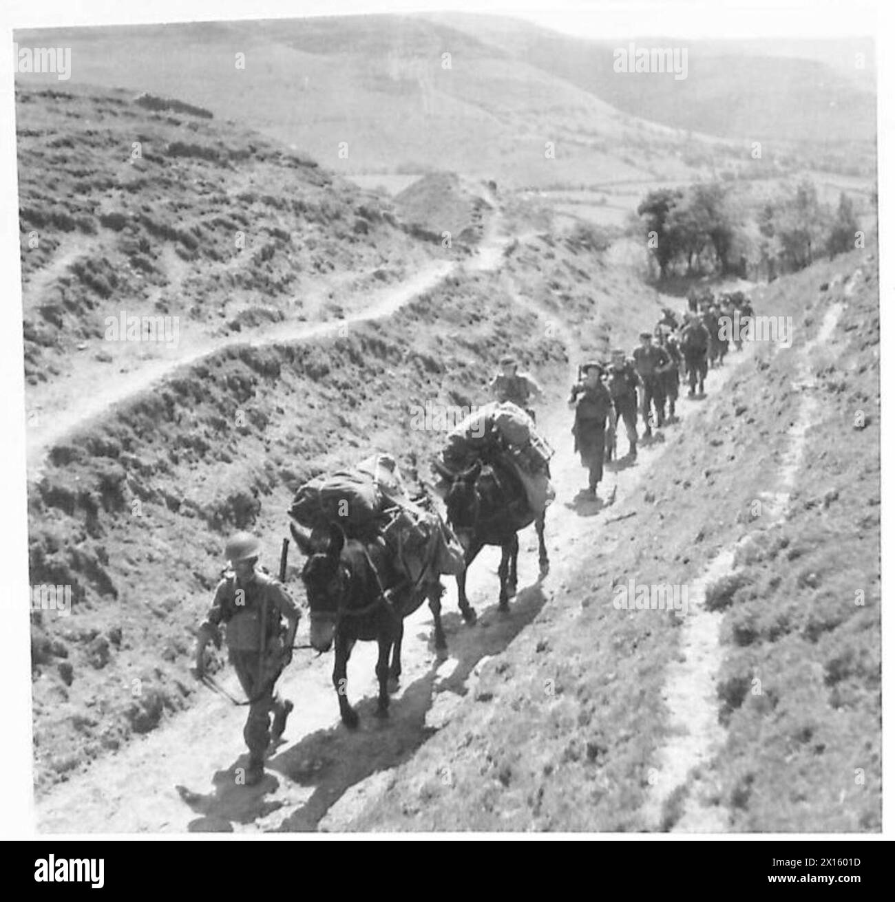 Narrow tops Black and White Stock Photos & Images - Alamy