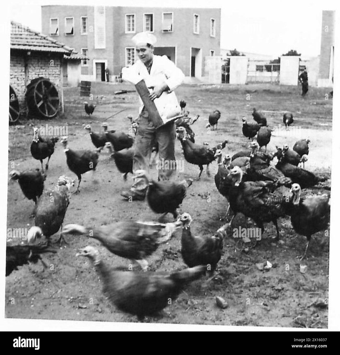 ITALY : PREPARATIONS FOR THE CHRISTMAS DINNER - Pte. Alfred Perry, REME ...