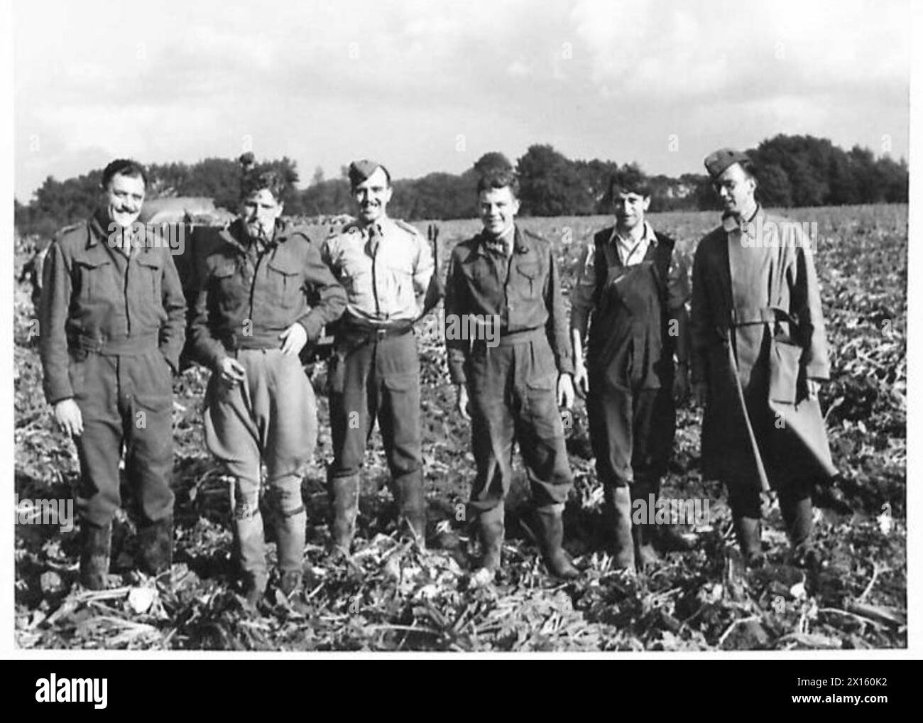 British Army soldiers gather in crop fields near Thetford, Norfolk ...