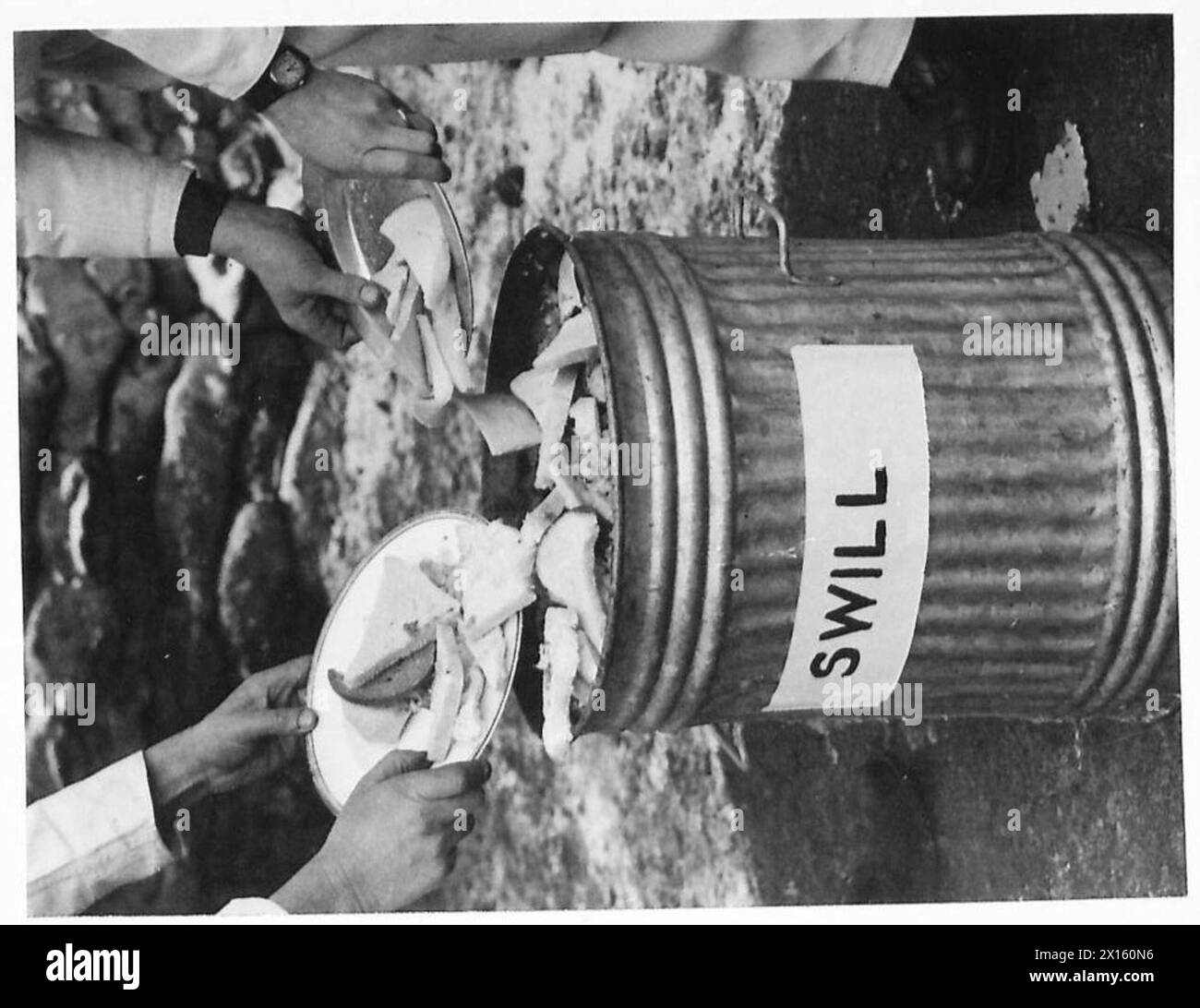 WASTE FOOD - Large plates of food being thrown into swill tubs British ...