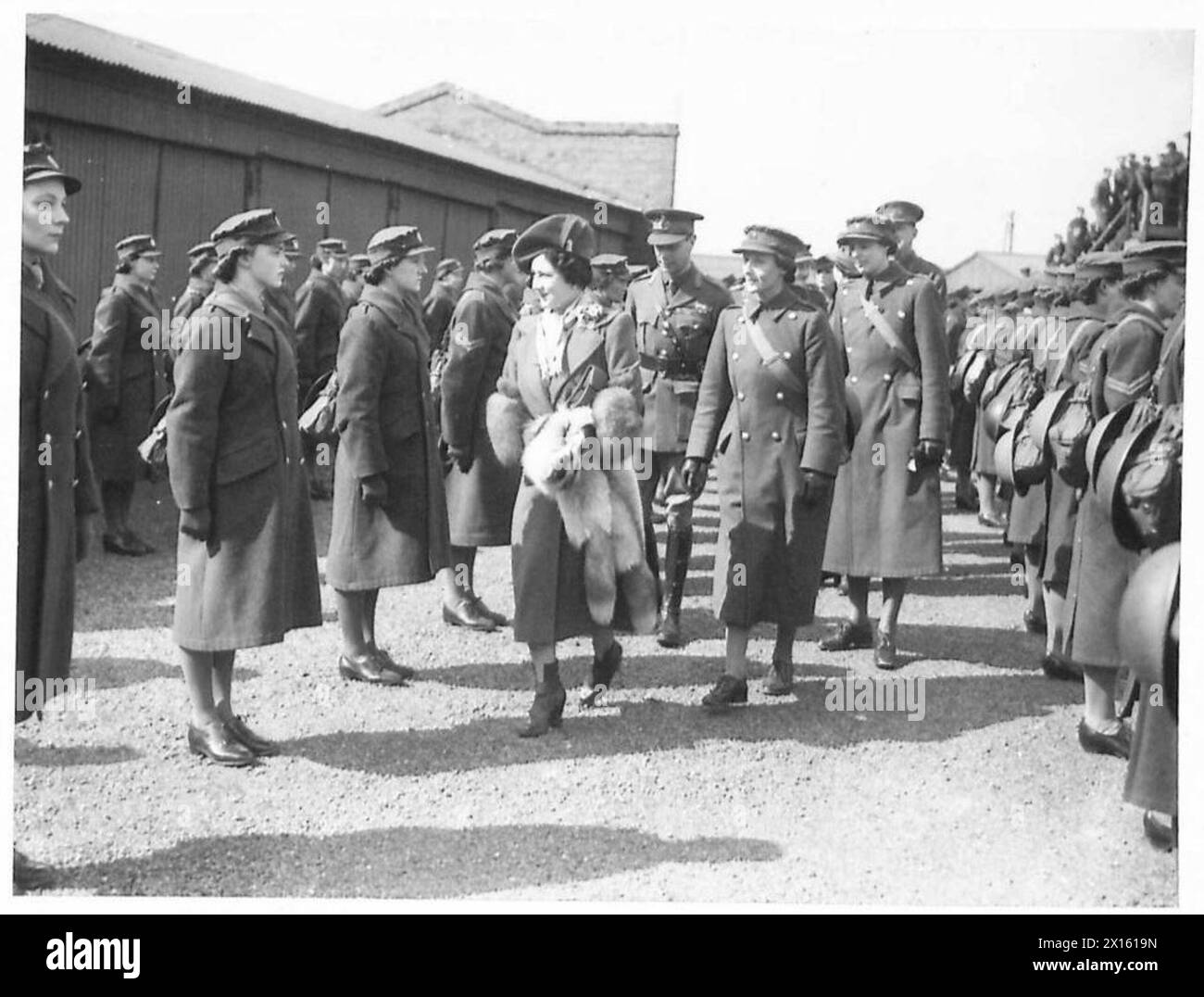 Territorial review Cut Out Stock Images & Pictures - Alamy