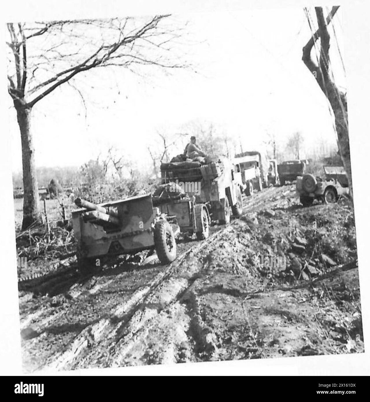 ITALY : FIFTH ARMY FRONT - 25-pounders on the move through a muddy lane ...