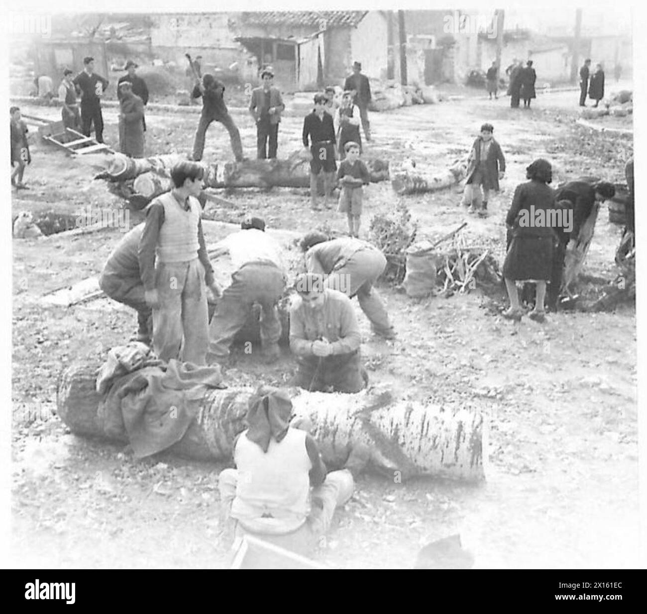 After fighting in Athens, uprooted trees are cut into logs by civilians ...