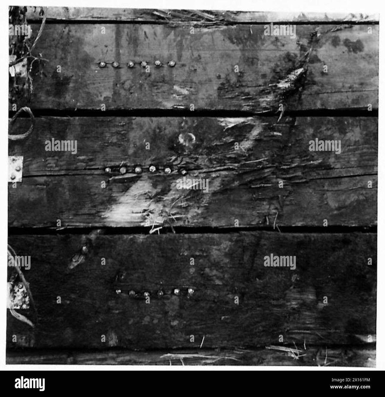 SPECIAL ASSIGNMENT FOR D.TN - Damage to Swiss Roll after wrecking ...