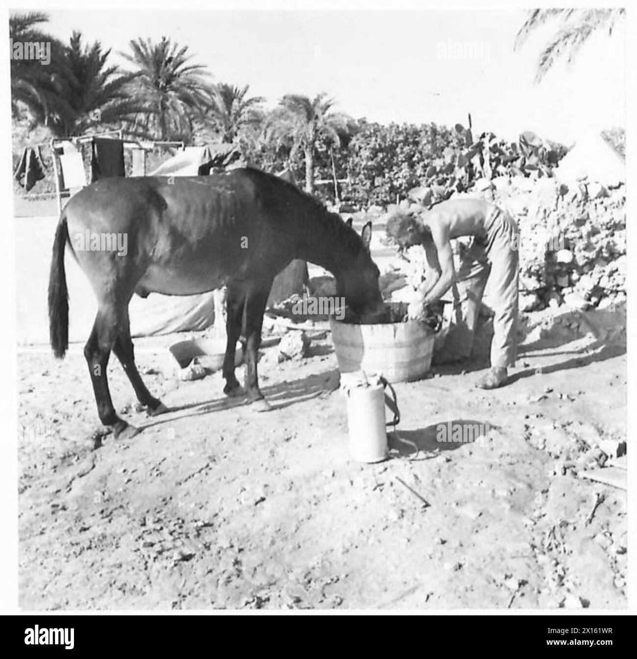 Staff operation Black and White Stock Photos & Images - Alamy