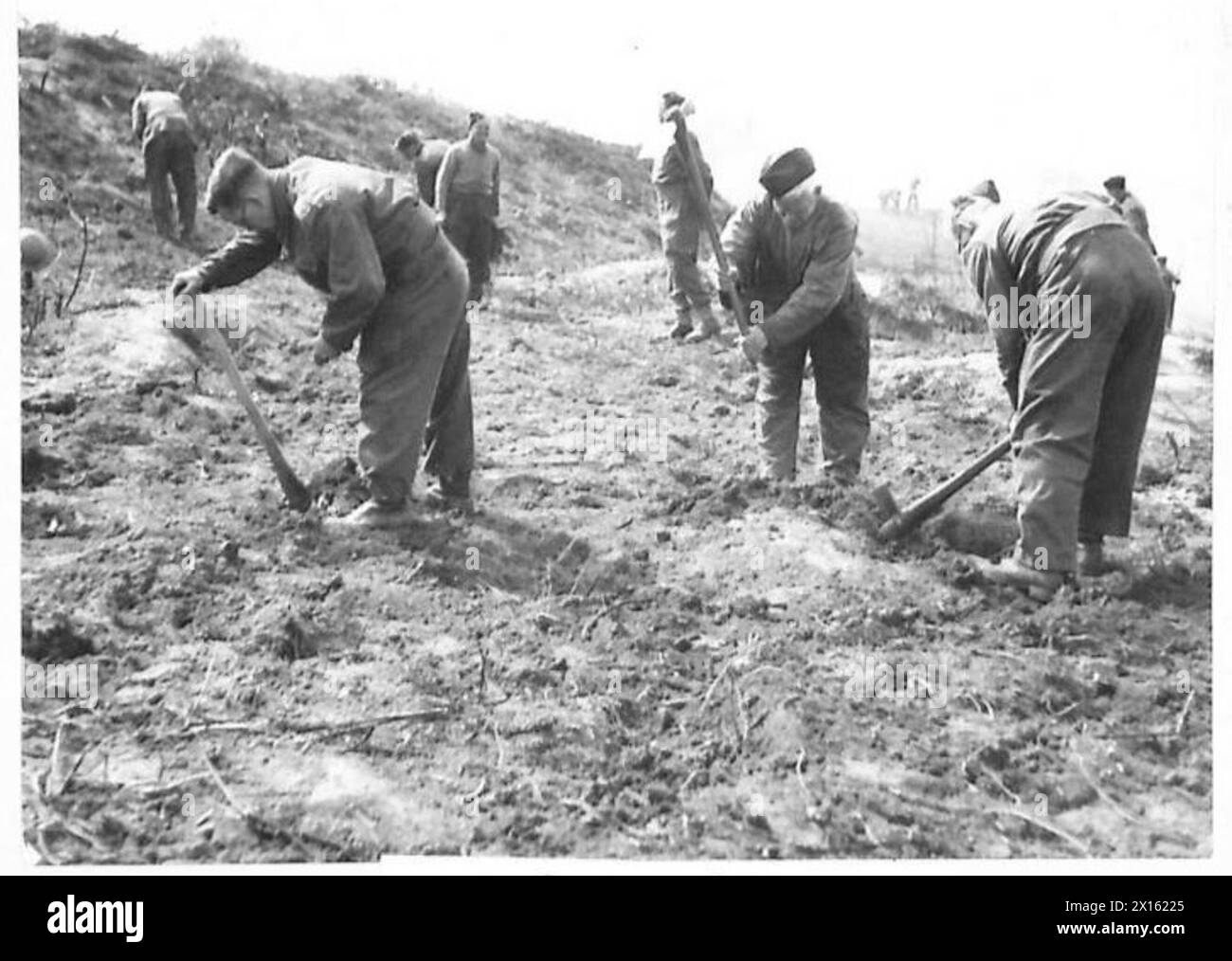 PIONEERS CLEARING LAND - This land is being prepared for cropping next ...