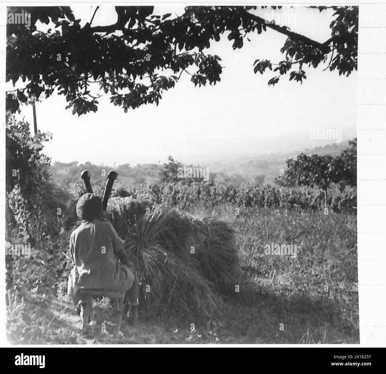 THE POLISH ARMY IN THE ITALIAN CAMPAIGN, 1943-1945 - A signaller of the ...